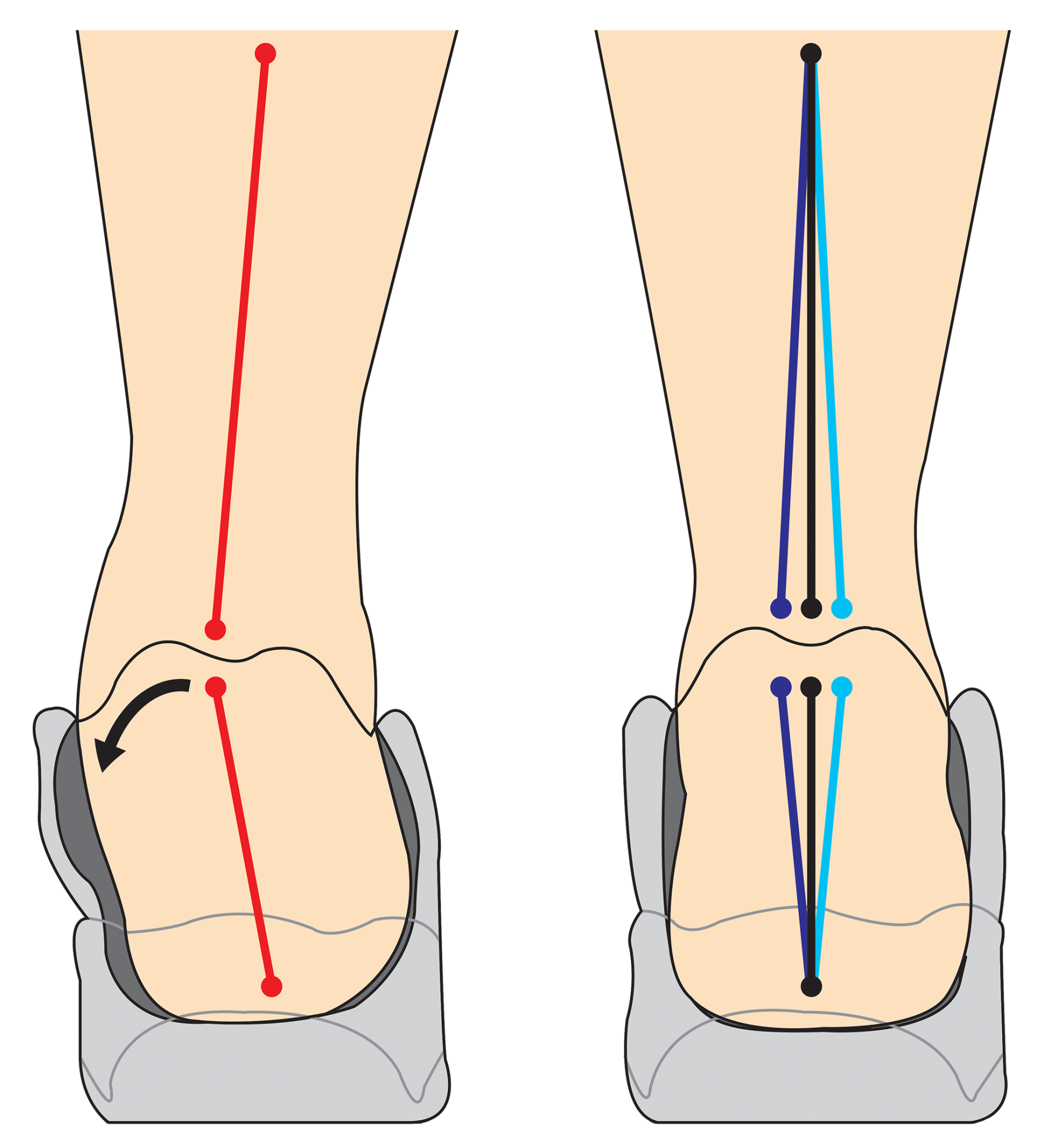 Why FootLibrary - Foot Library®